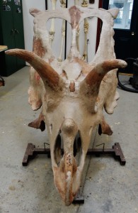 14 | Gaston Design, Inc.