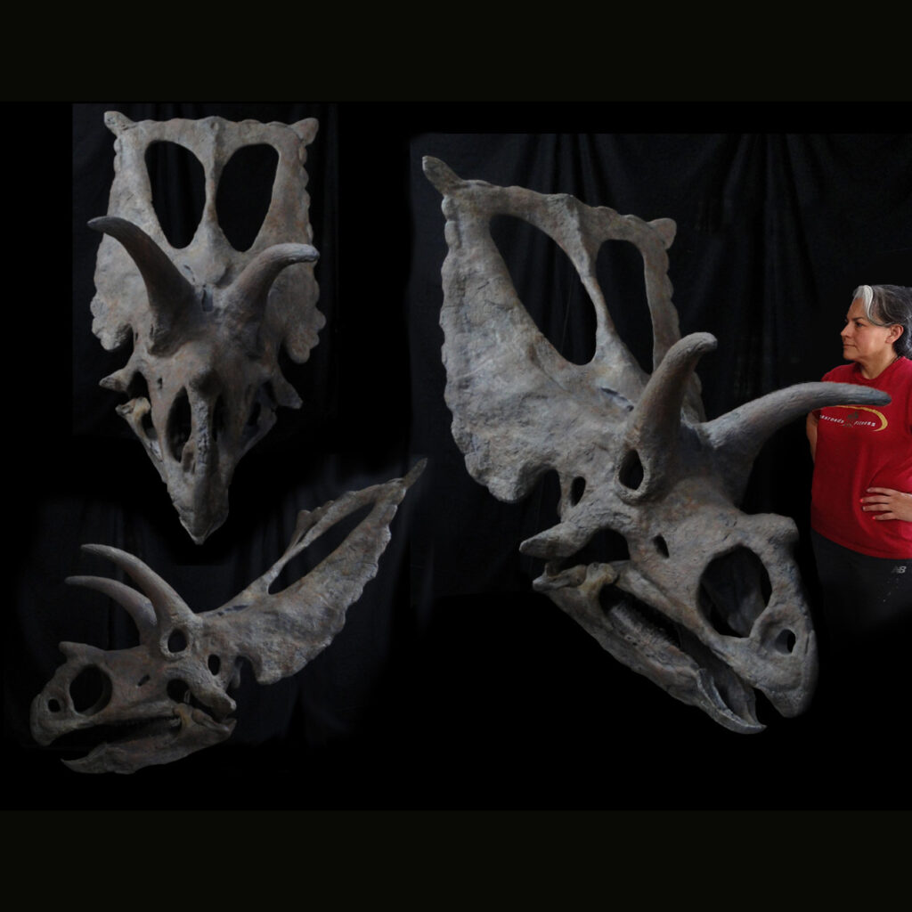 Dinosaur Skulls | Gaston Design, Inc.