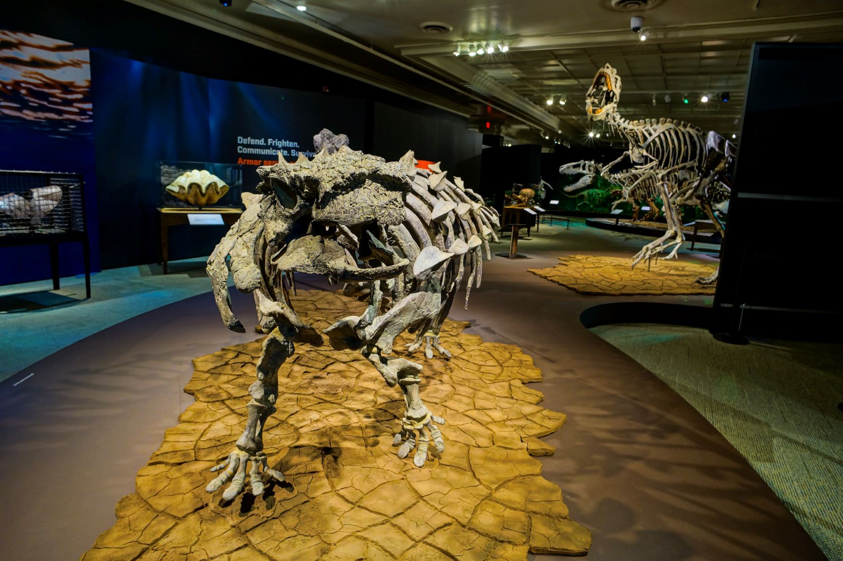 Animal Armor | Gaston Design, Inc.