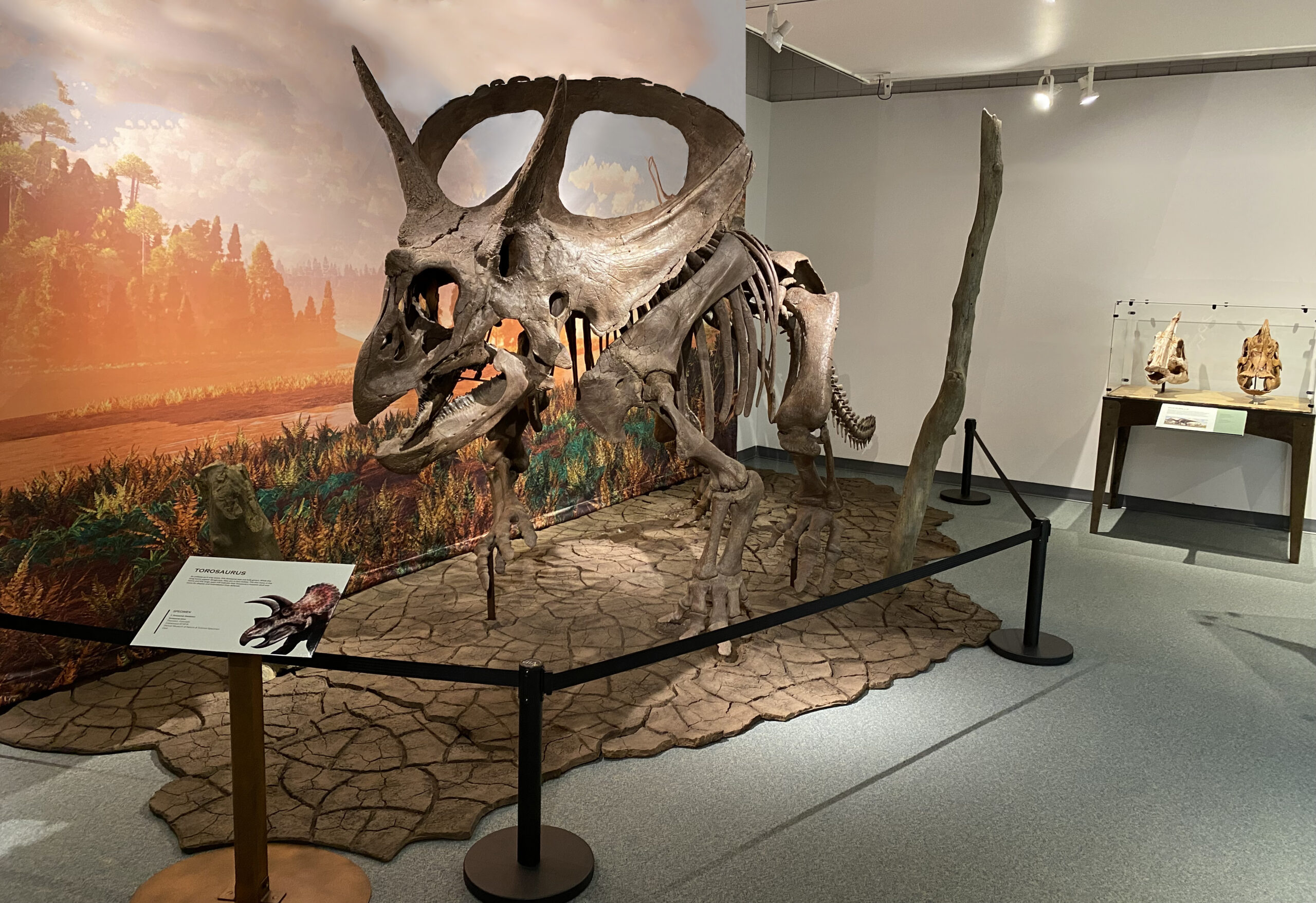 | Gaston Design, Inc.