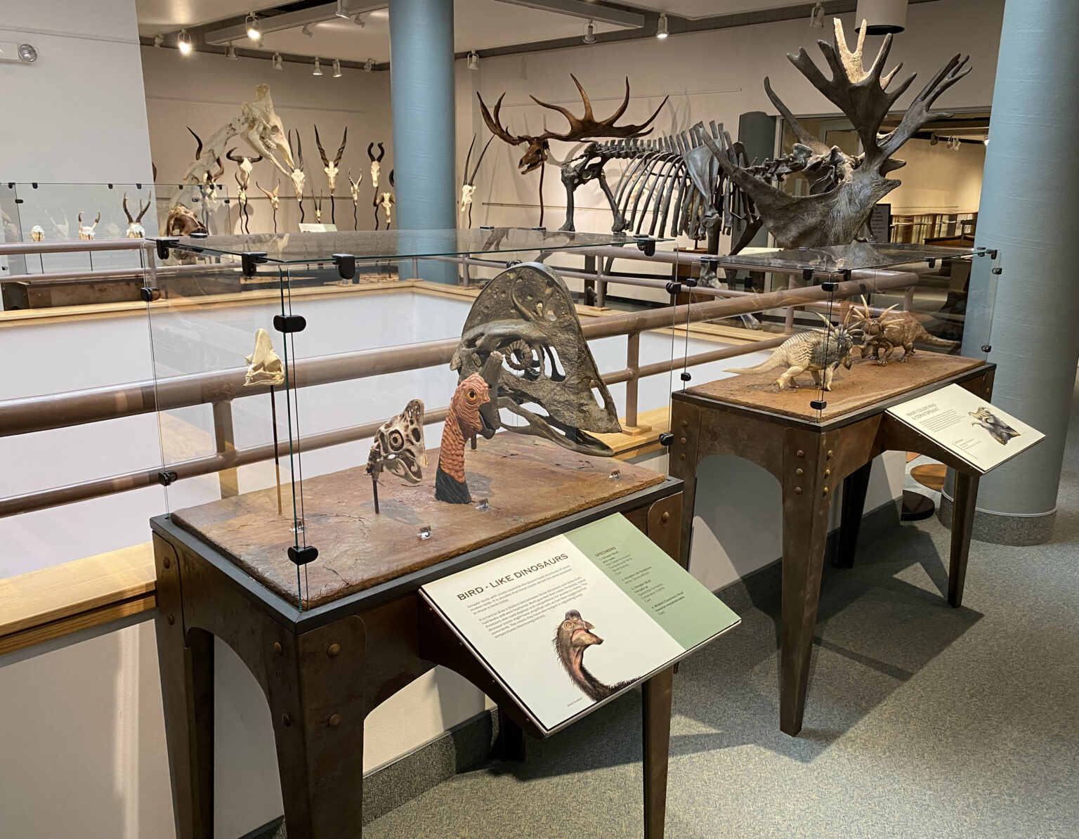 Bizarre Headgear | Gaston Design, Inc.