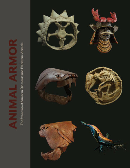 Gaston Design, Inc. | Fine Fossil Replicas & Traveling Exhibitions