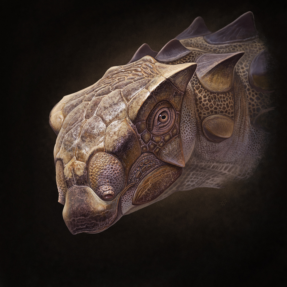 Animal Armor | Gaston Design, Inc.