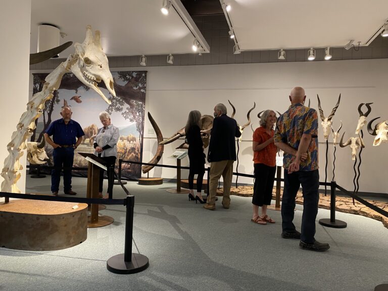 Bizarre Headgear | Gaston Design, Inc.