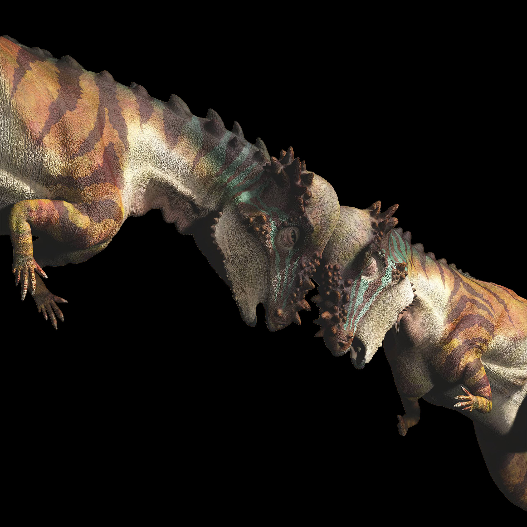 Bizarre Headgear | Gaston Design, Inc.