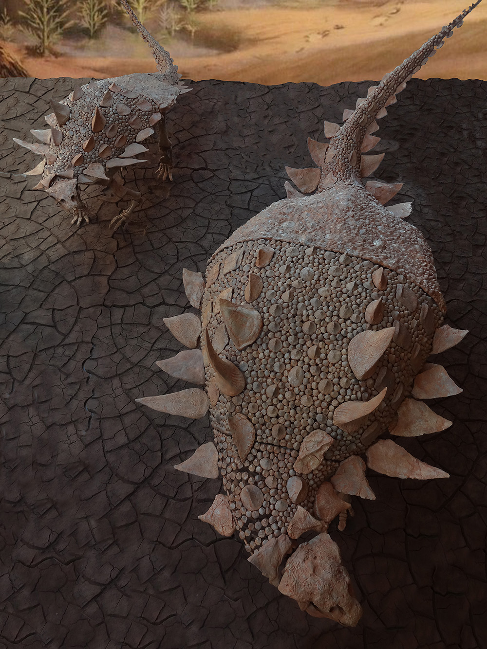 Animal Armor | Gaston Design, Inc.