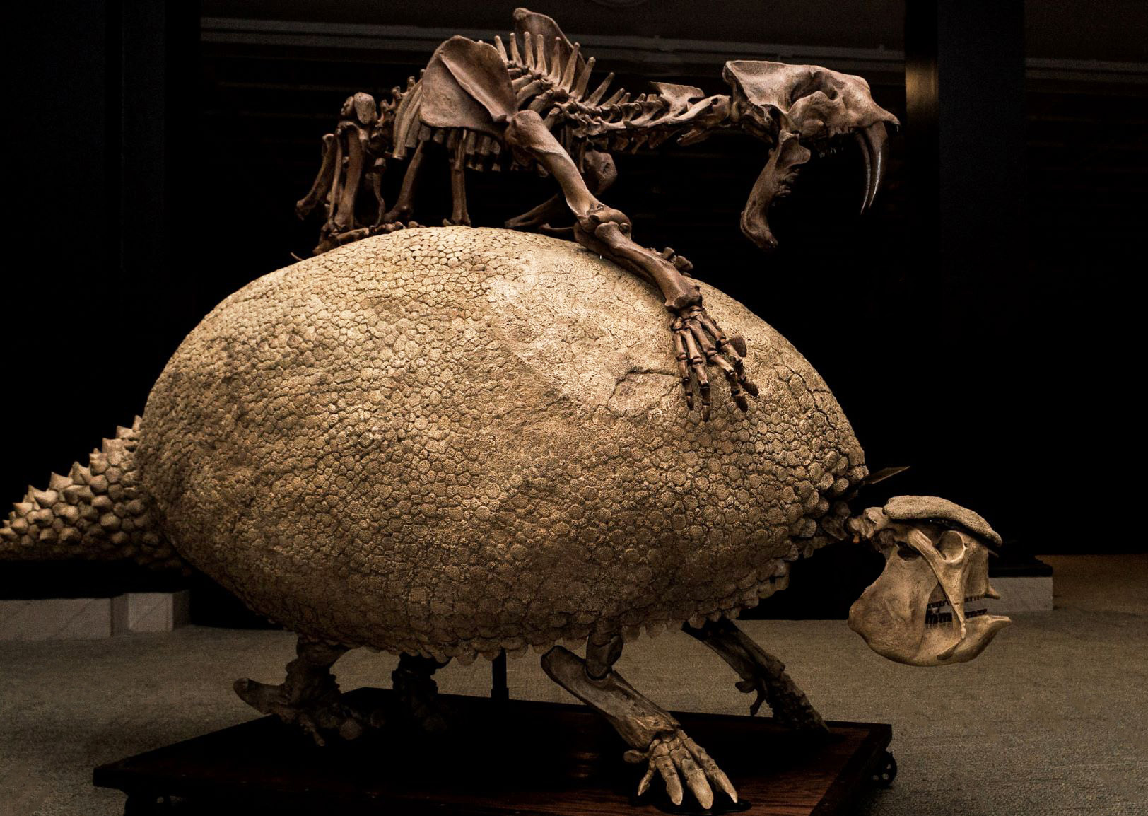 | Gaston Design, Inc.