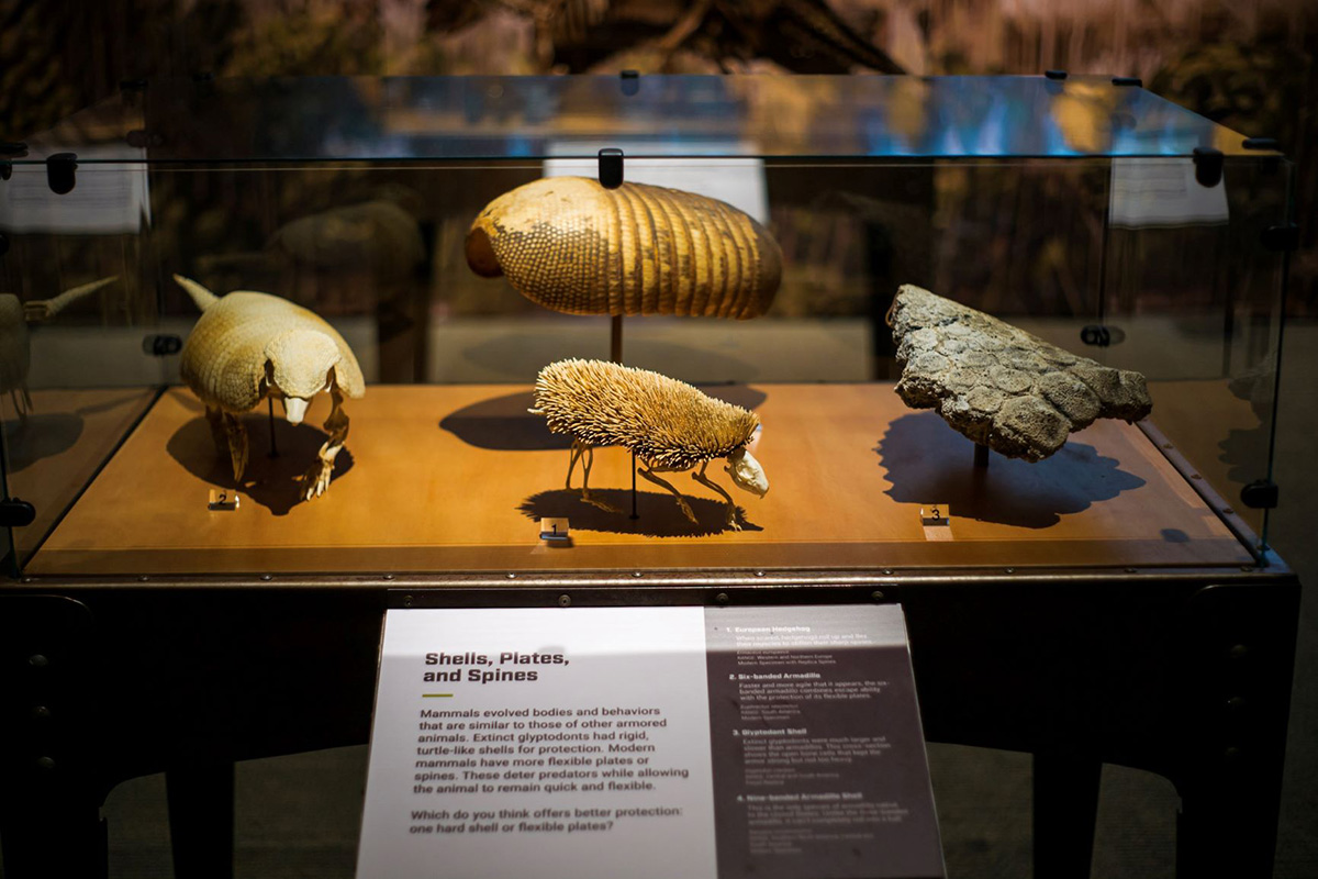 | Gaston Design, Inc.