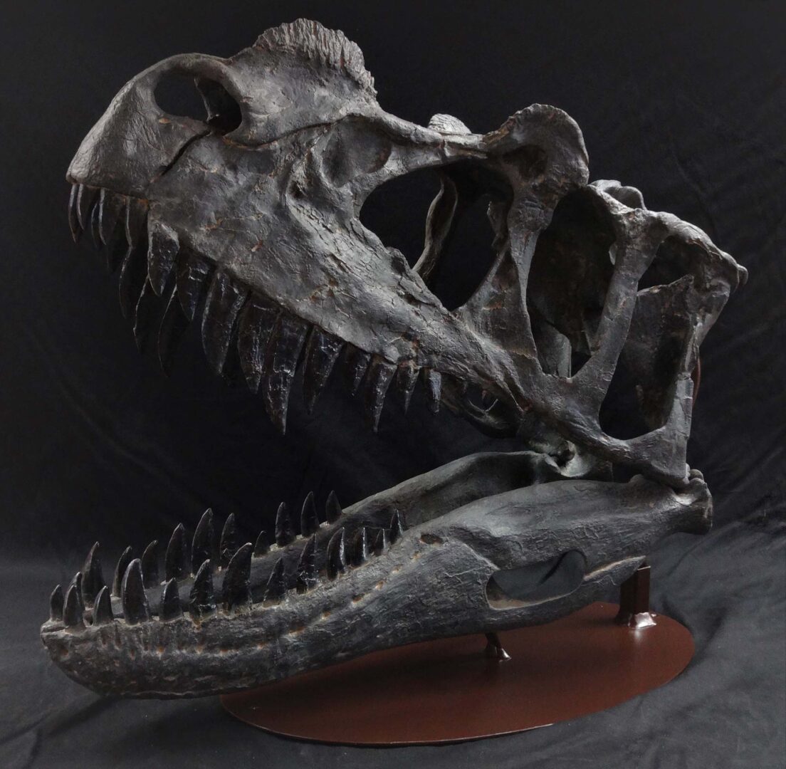 Newest Products | Gaston Design, Inc.