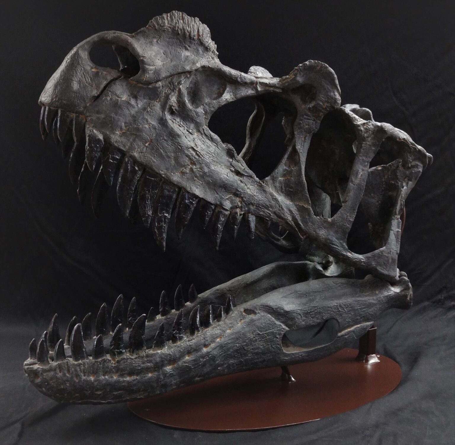 Newest Products | Gaston Design, Inc.