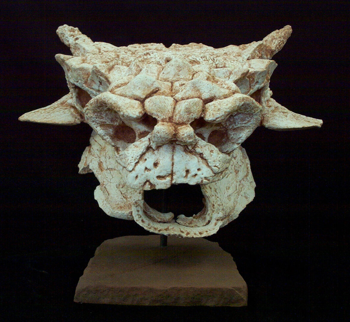 Minotaurasaurus Skull with base | Gaston Design, Inc.