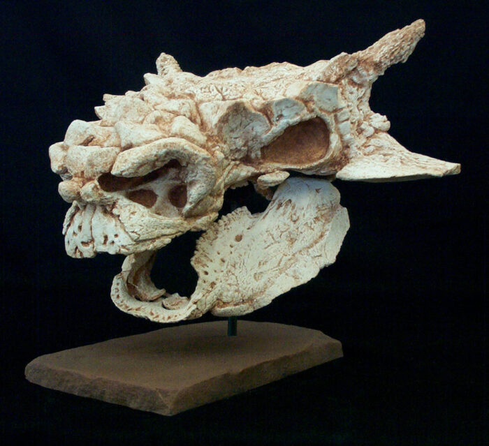 Minotaurasaurus Skull with base | Gaston Design, Inc.