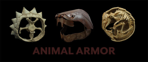 Animal Armor | Gaston Design, Inc.