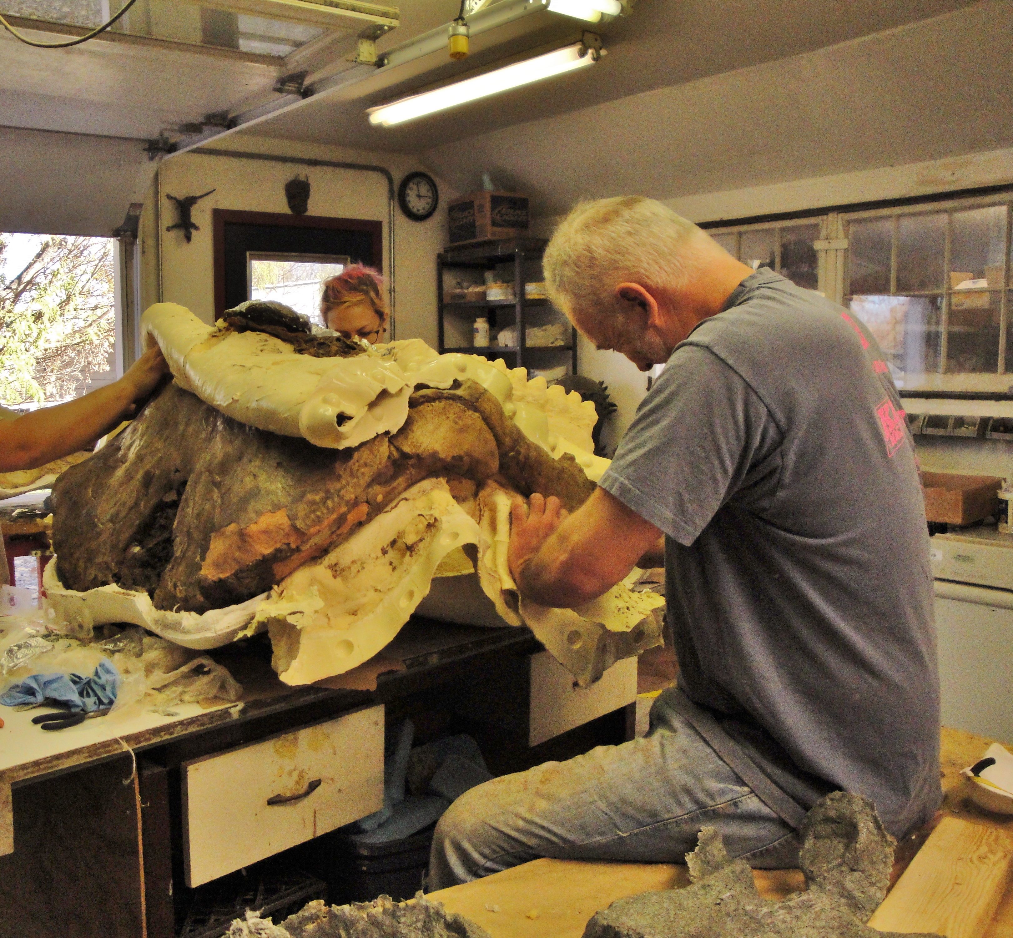 dsc04229 | Gaston Design, Inc.