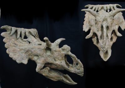 Dinosaur Skulls Archives - Page 2 of 4 - Gaston Design, Inc.