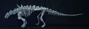 Animantarx Nodosaur Skeleton | Gaston Design, Inc.
