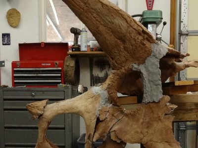 New Projects - Gaston Design, Inc.